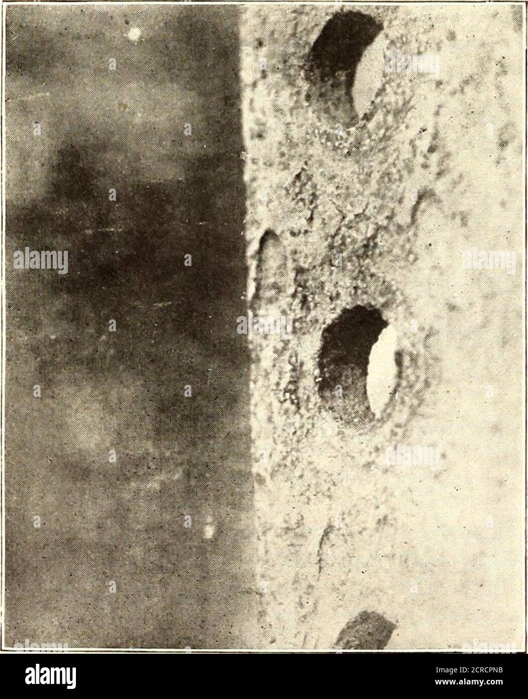 Deep pitting hi-res stock photography and images - Alamy