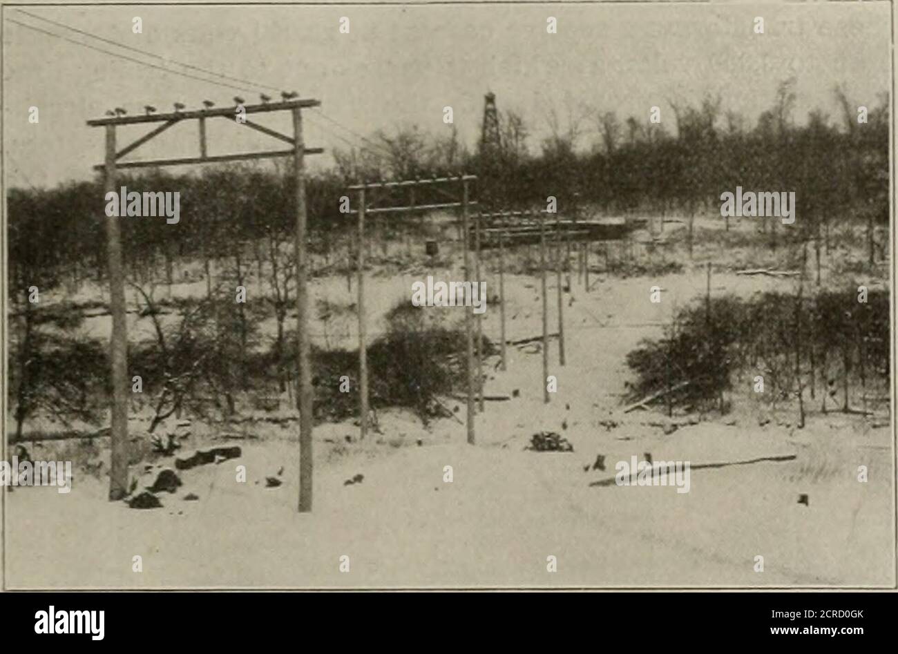 . Electric railway review . Pittsburg & Butler Street Railway—View of ...