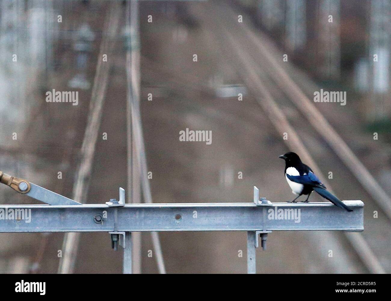 Castelnau destretefonds hi-res stock photography and images - Alamy