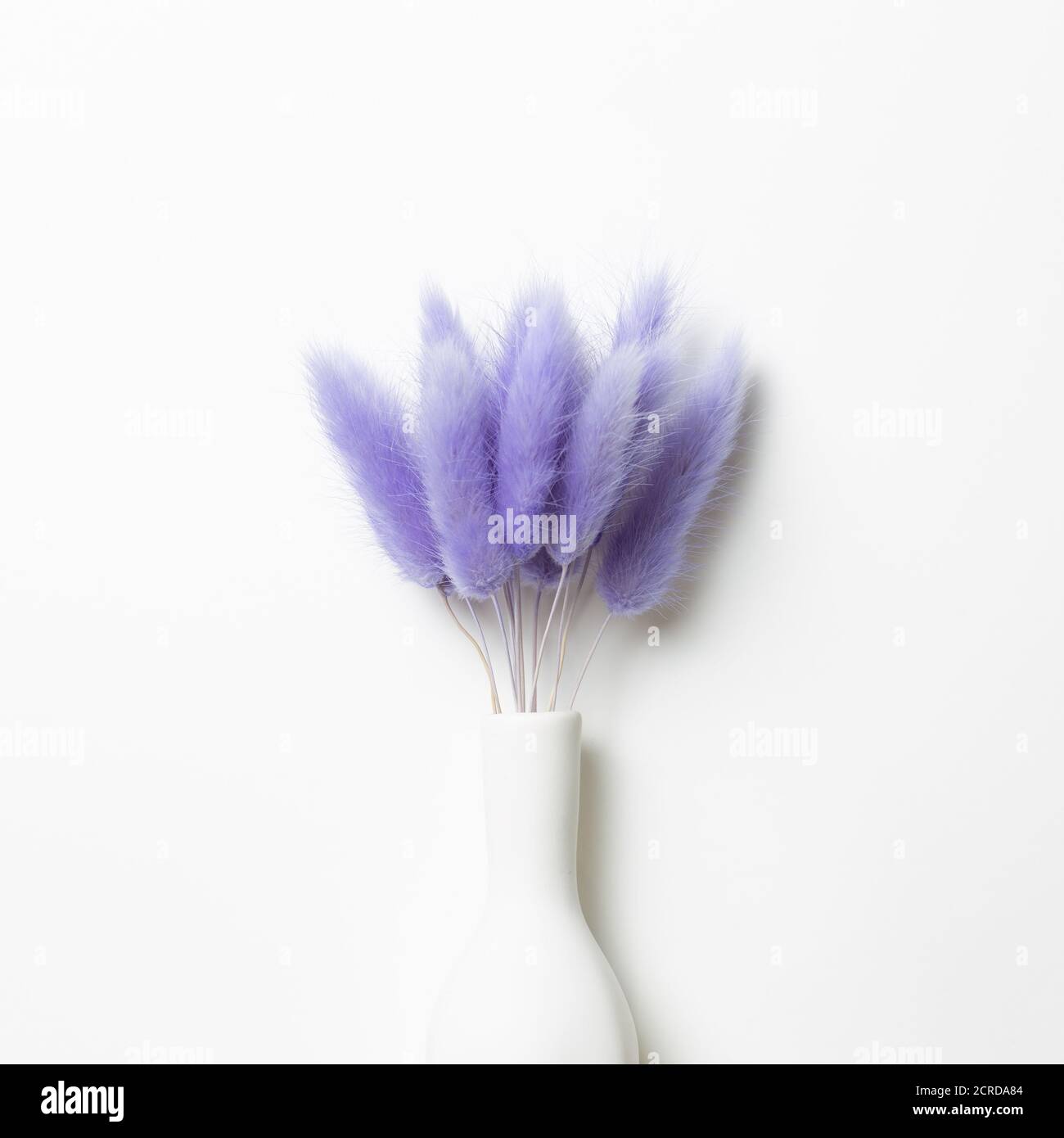 Many hares hi-res stock photography and images - Alamy