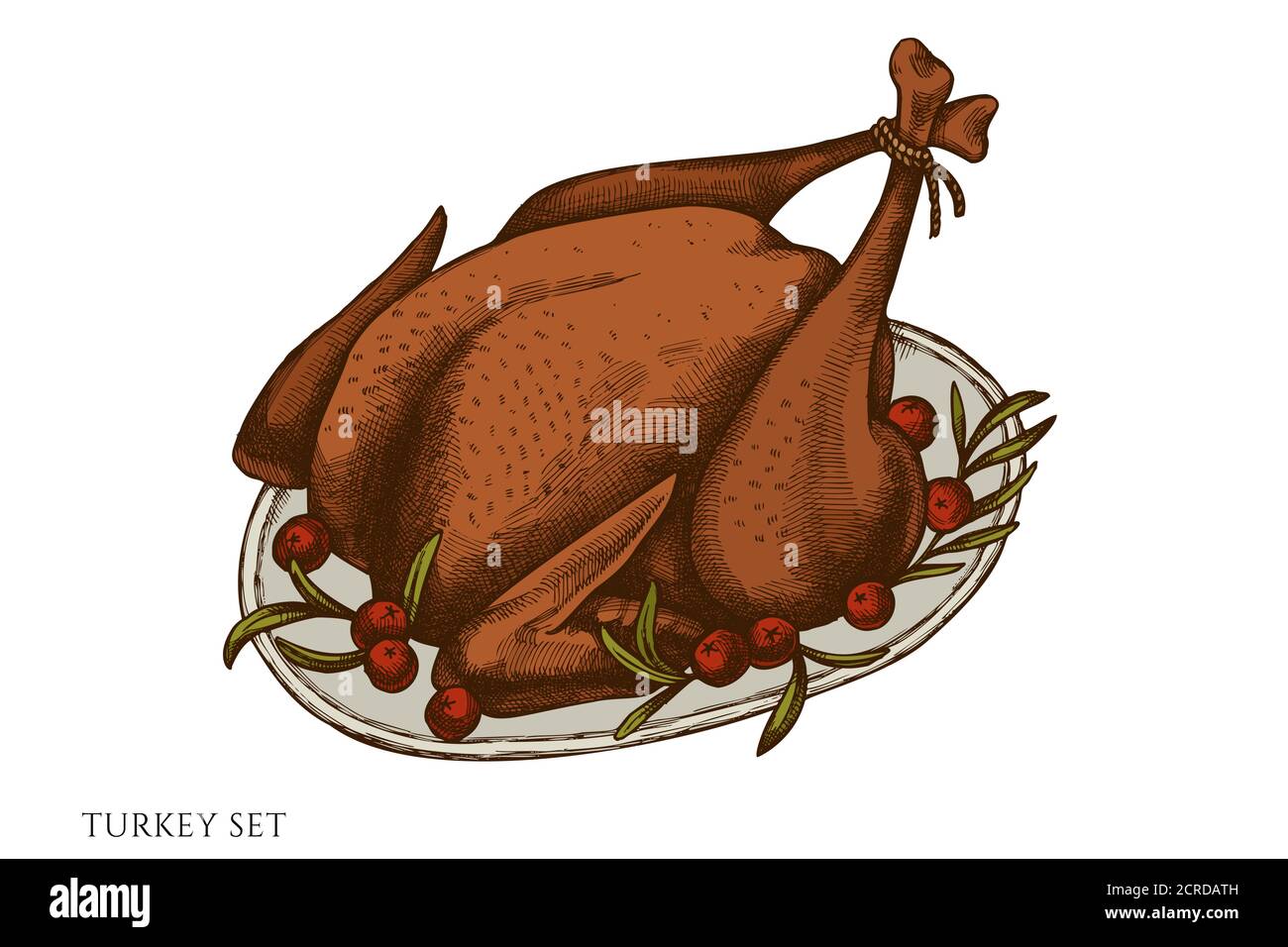 Vector set of hand drawn colored turkey Stock Vector Image & Art - Alamy