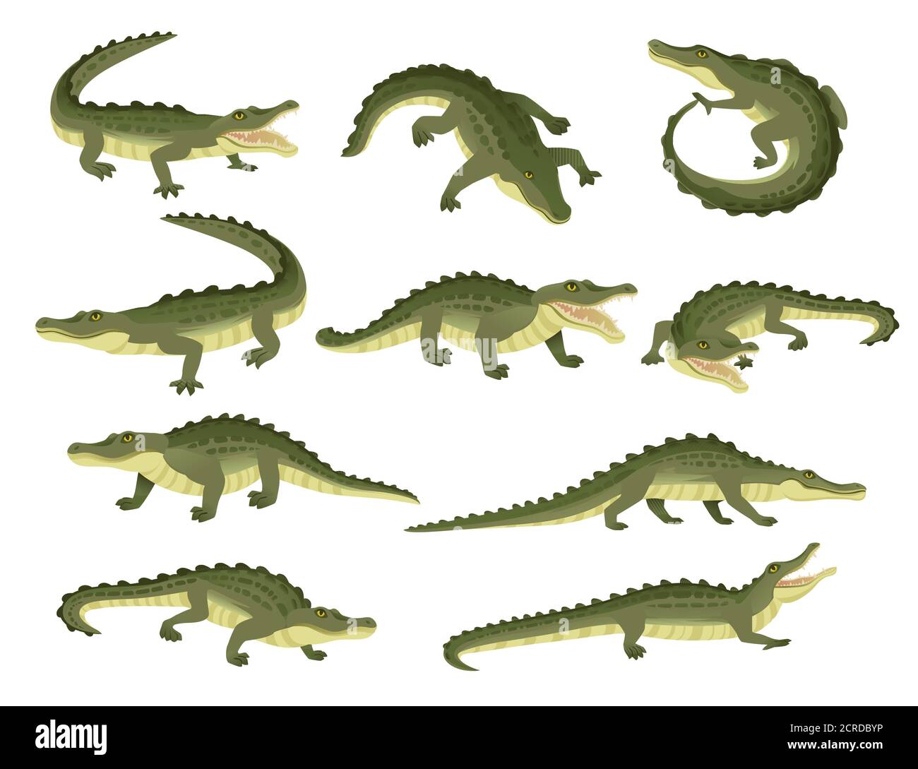 Set of green crocodile character big carnivore reptile cartoon animal ...