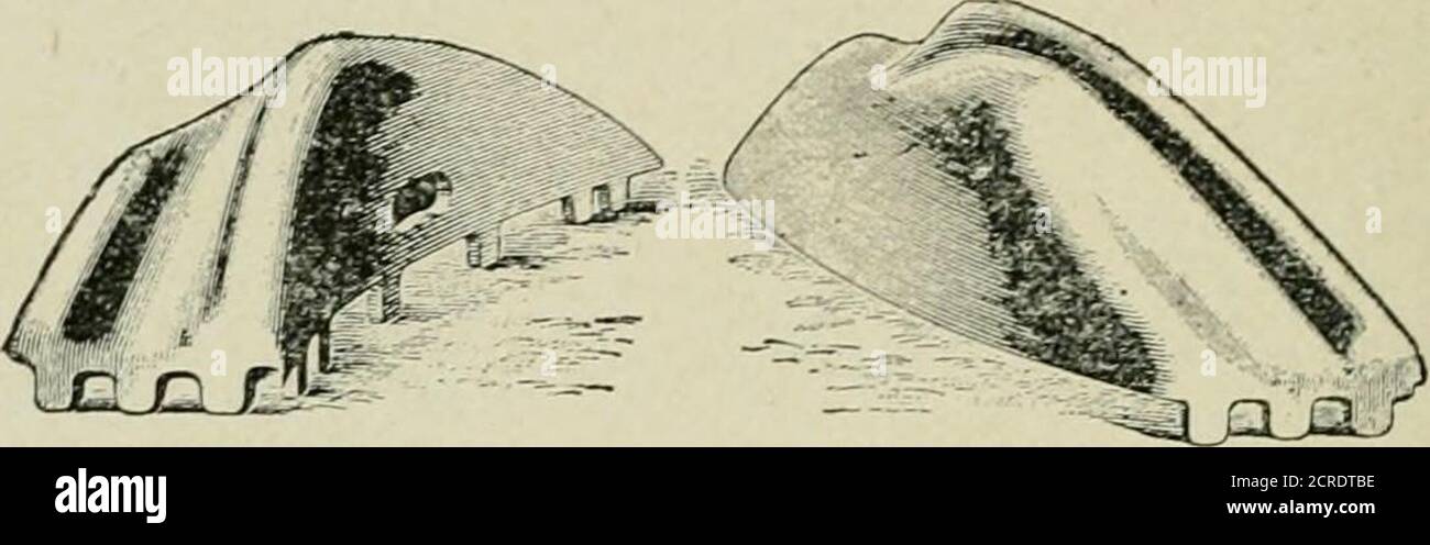 437 fis hi-res stock photography and images - Alamy