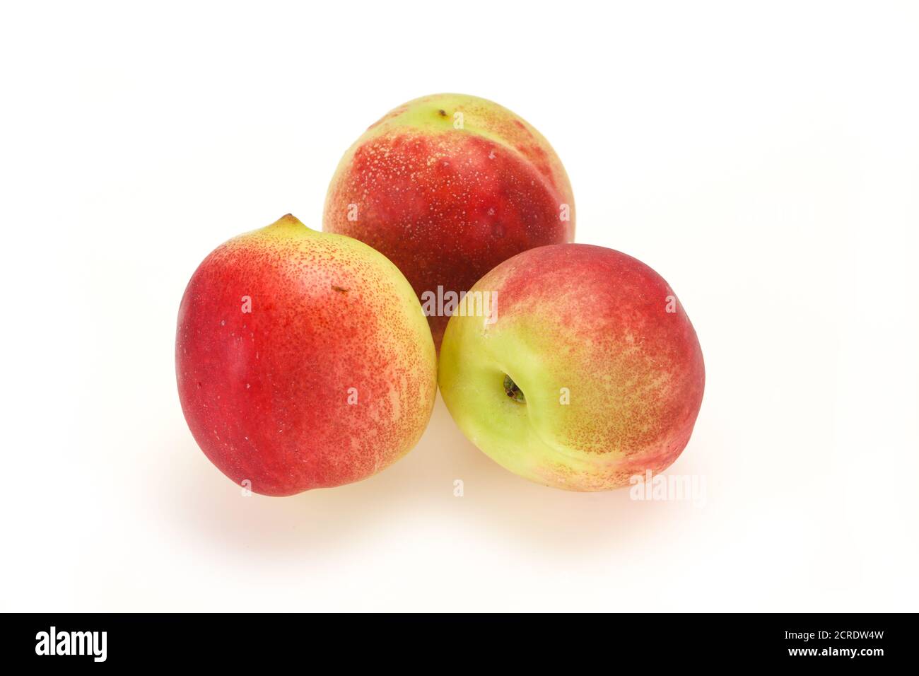 Sweet tasty fresh ripe apricots over backround Stock Photo - Alamy
