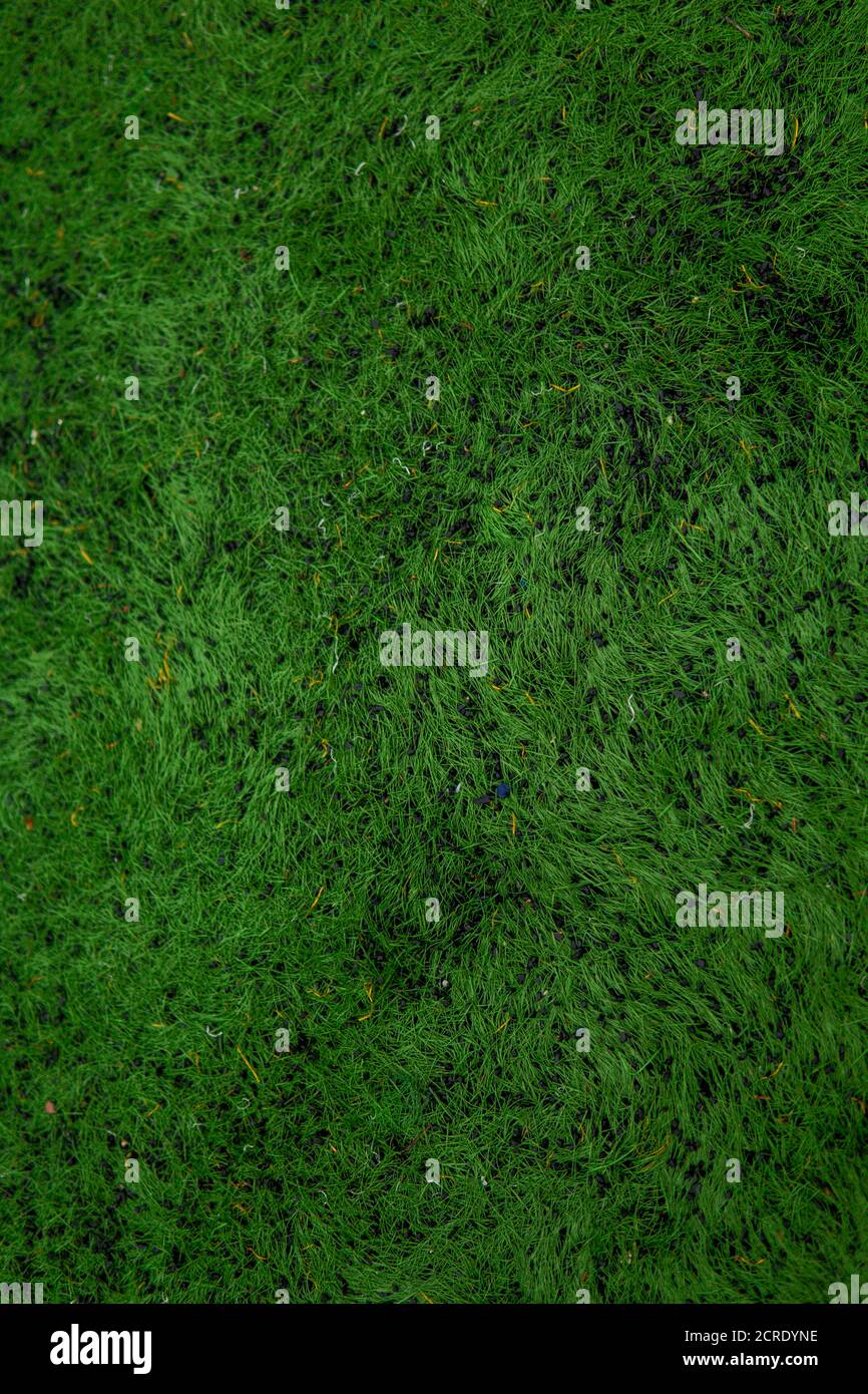 The greens of a football pitch Stock Photo - Alamy