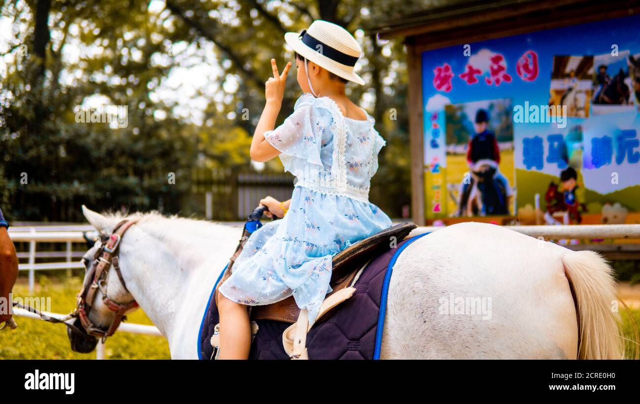 little girl riding a young pony Stock Photo - Alamy