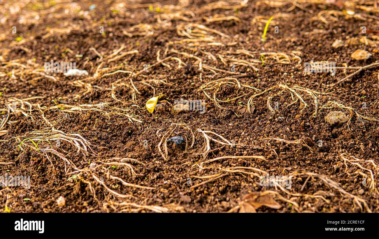 Fertile ground hi-res stock photography and images - Alamy