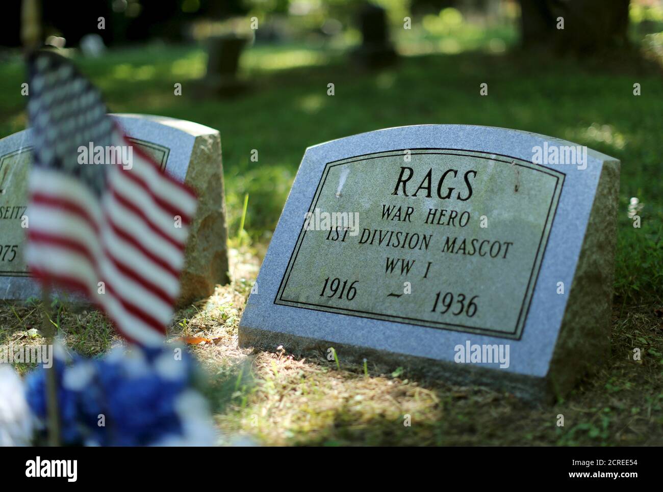 What Happened To Rags The Dog From Ww1