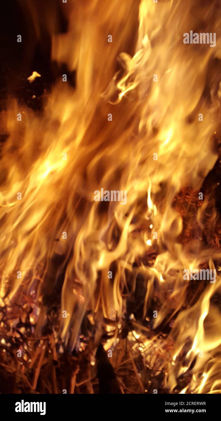Fire flames. Bonfire flame. Bonfire lit in nature Stock Photo - Alamy