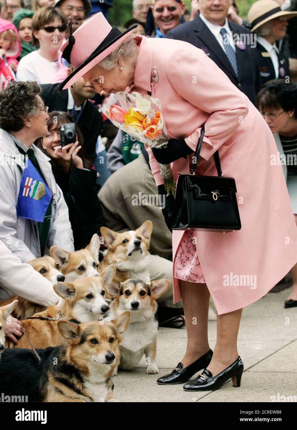 Which Animals Belong To The Queen