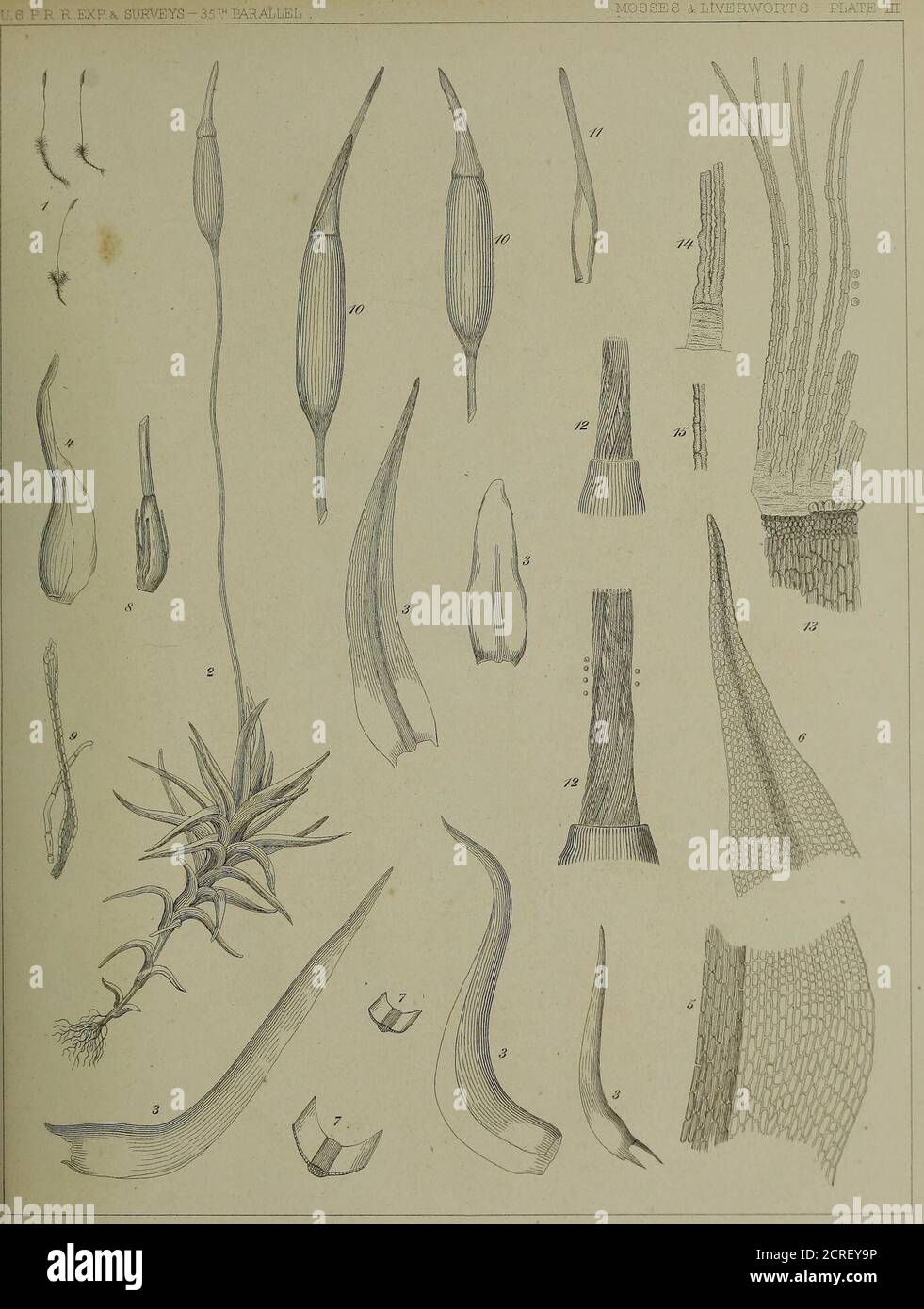 . Reports of explorations and surveys, to ascertain the most ...