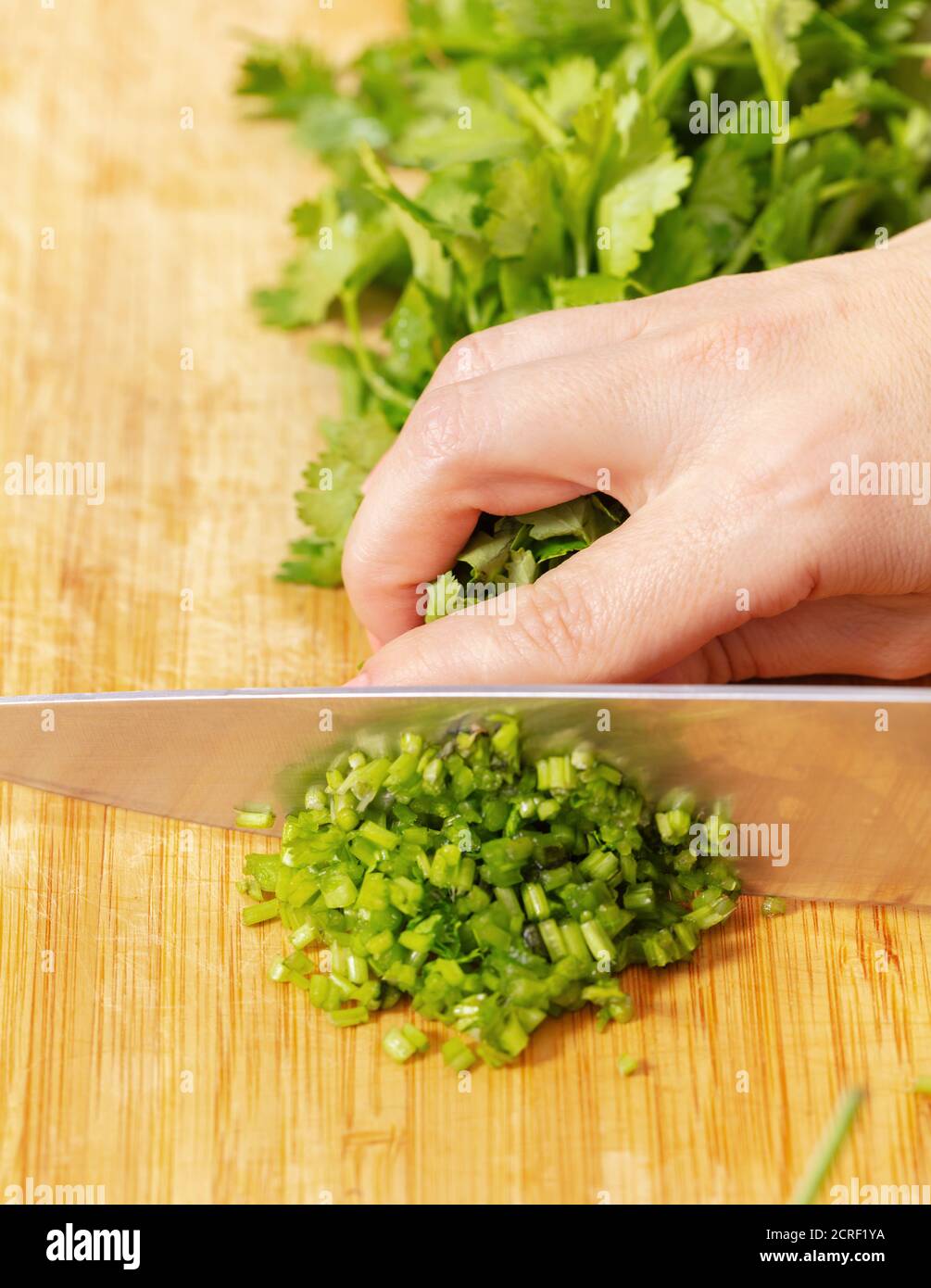 Cutting coriander plant hi-res stock photography and images - Alamy