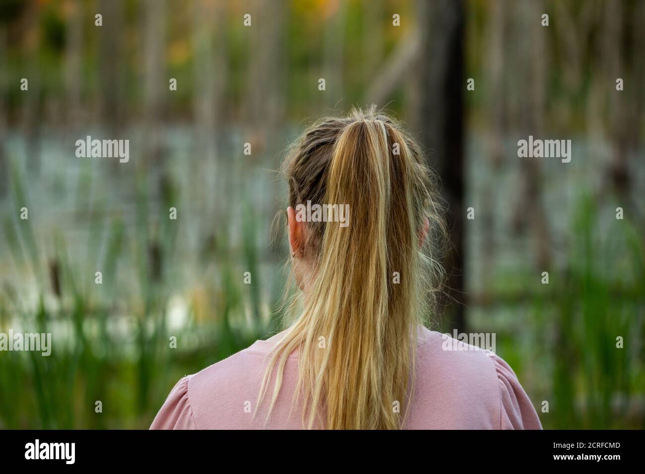 Woman with back turned to camera hi-res stock photography and images ...