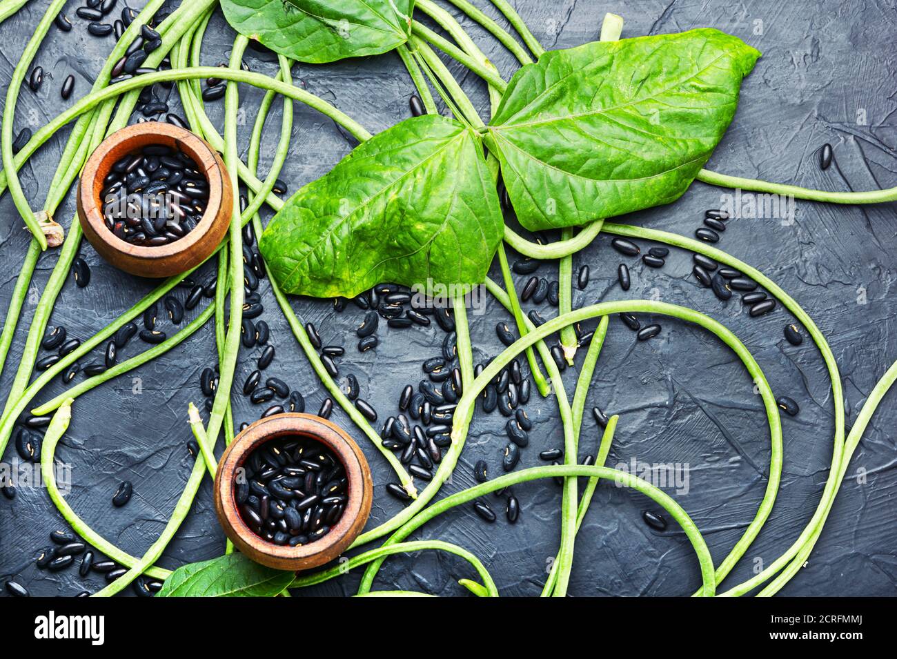 Vigna or cowpea pods and beans.Vegetable plant.Popular Chinese food ...