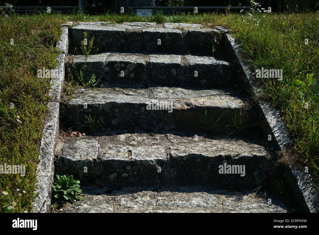 Stairs in the park during the daytime Stock Photo - Alamy