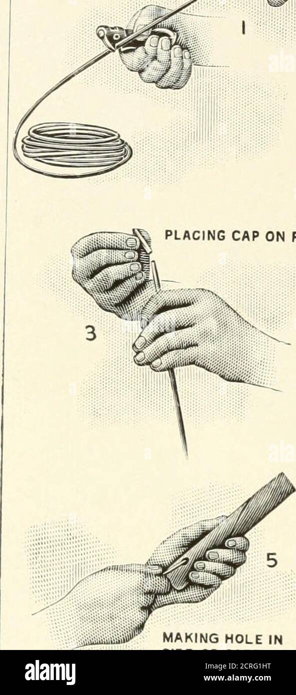 . Intensive farming and use of dynamite . ntaining the dynamite in ...