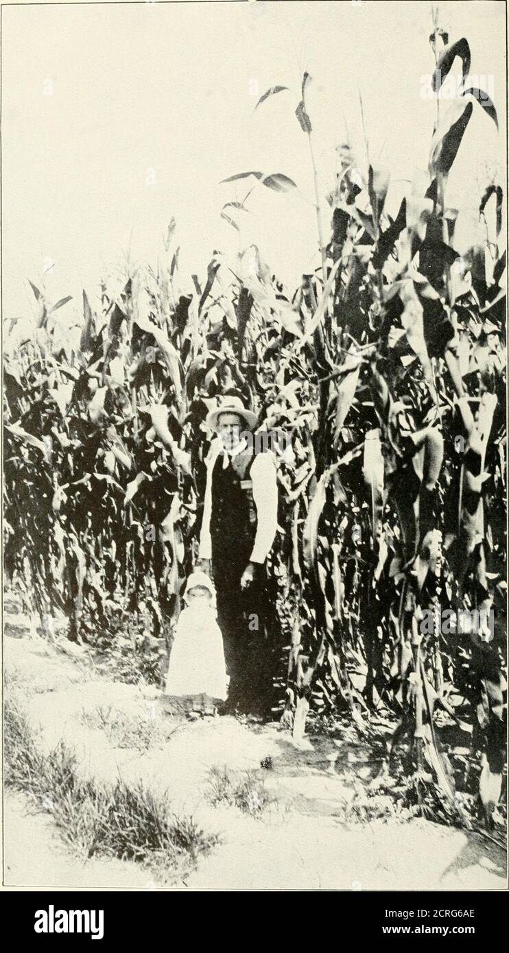. Intensive farming and use of dynamite . soil underlaid by an im ...