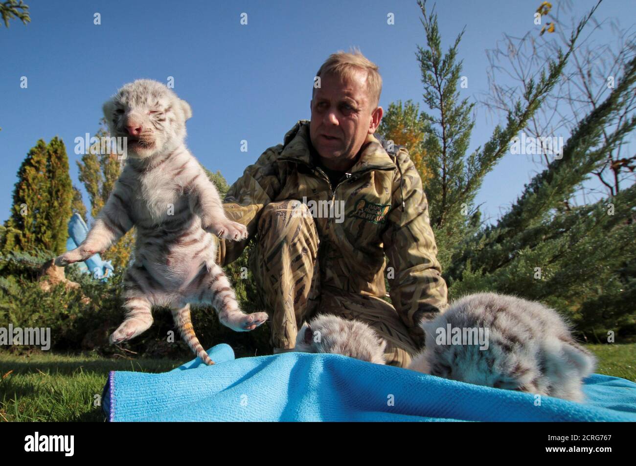 Oleg zubkov hi-res stock photography and images - Alamy