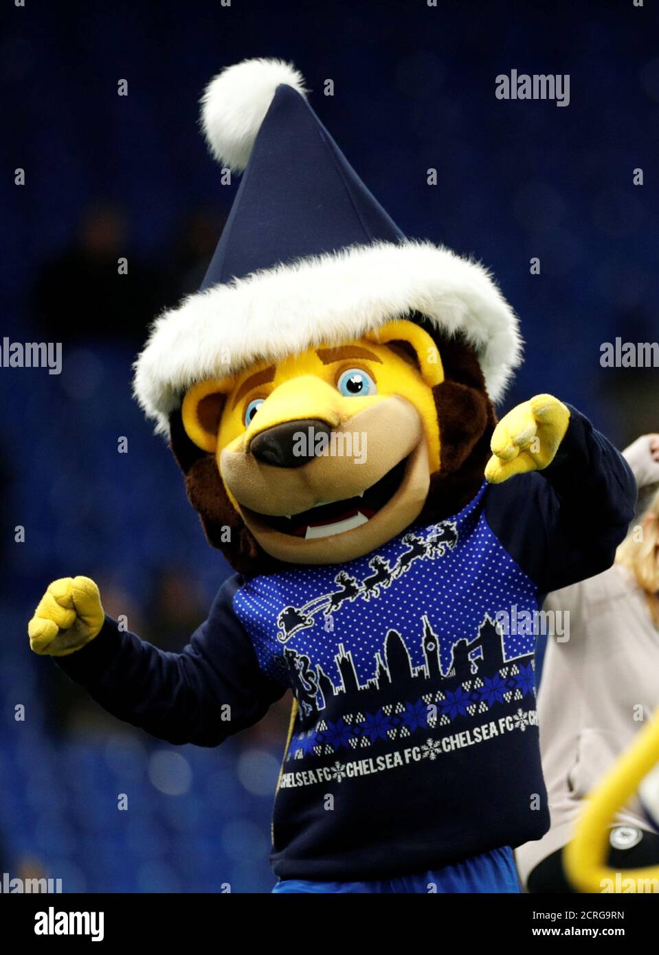 Afc bournemouth mascot hi-res stock photography and images - Alamy