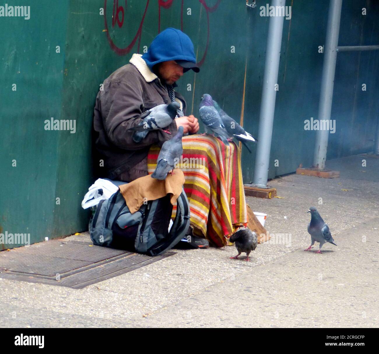 Homeless man feeds the birds doves. Sad bum on the street of New York ...