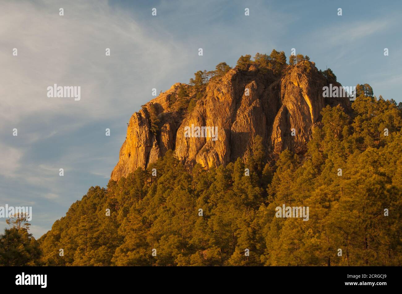 Morro de Pajonales in the Integral Natural Reserve of Inagua. Tejeda ...
