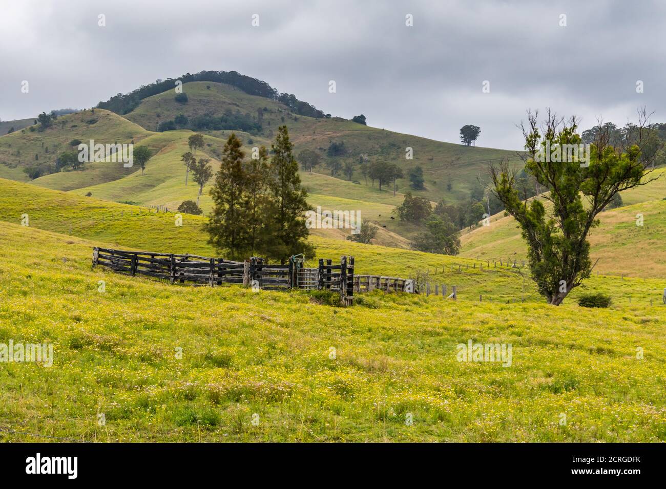Upper hunter nsw hi-res stock photography and images - Alamy