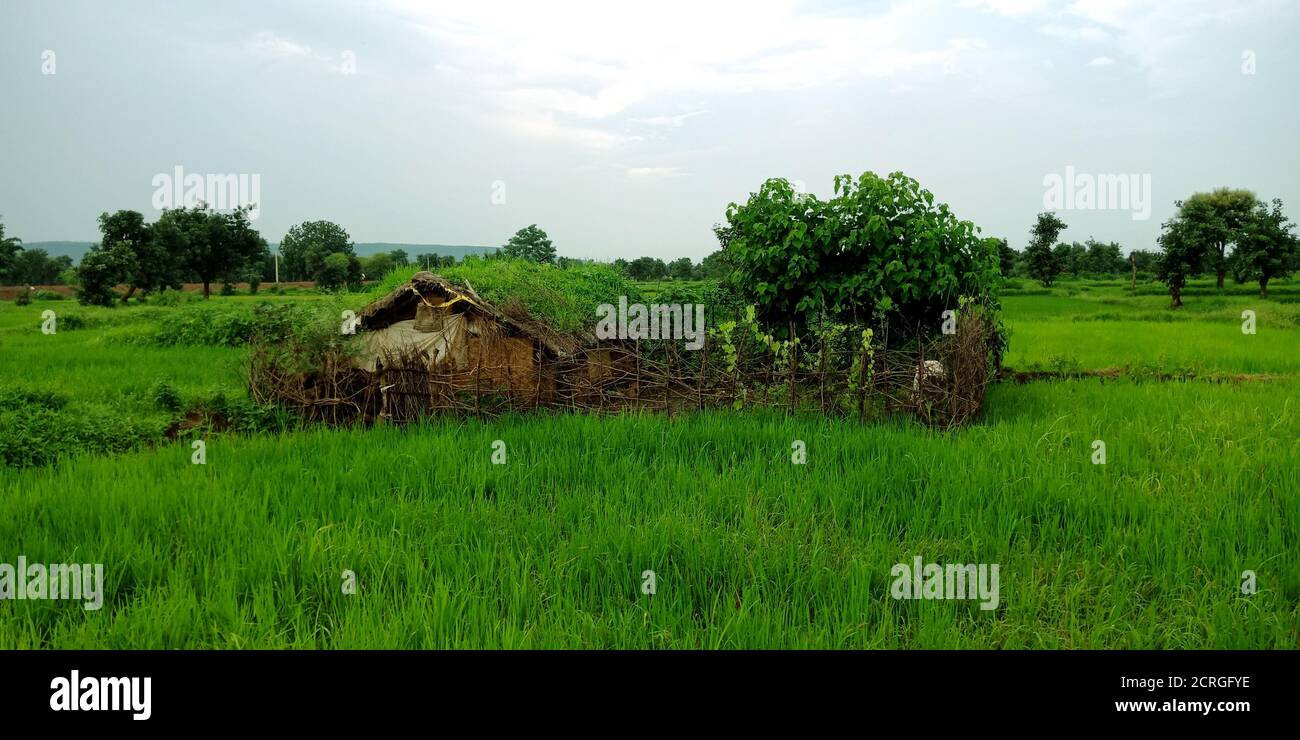 Agricultural rural background with heritage village soil made house ...