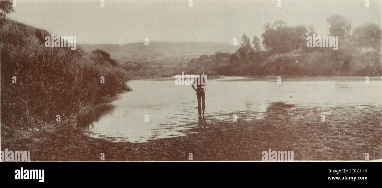 . Natal province : descriptive guide and official hand-book . te of the ...