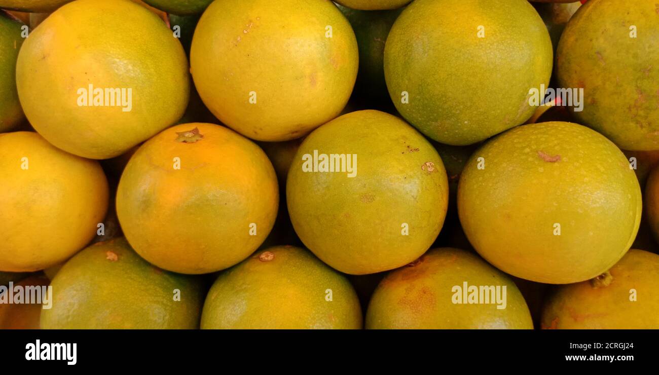 Set of fresh yellow orange collection background with mixed ...