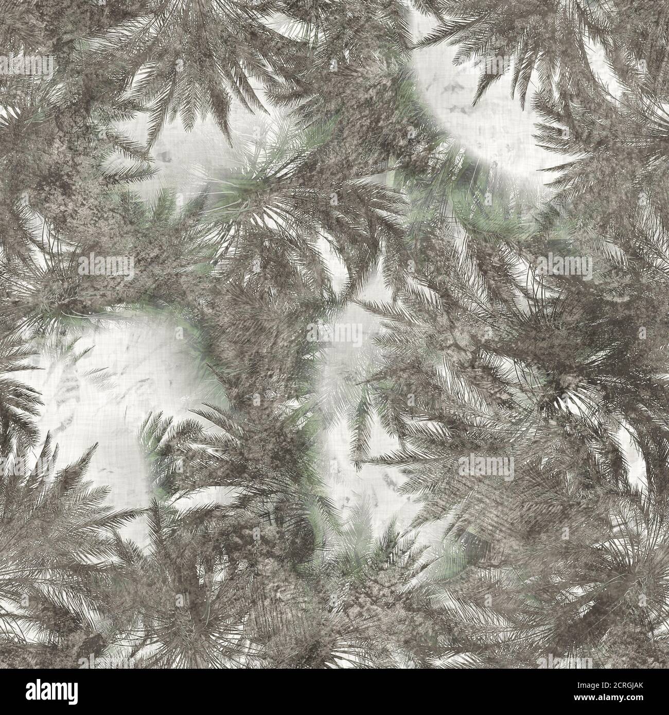 Neutral tropical palm tree leaves seamless pattern Stock Photo - Alamy