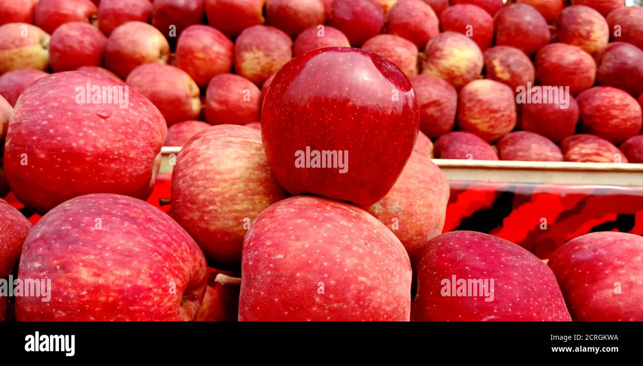 Red shiny apple isolated with set of fruit collection at agriculture ...