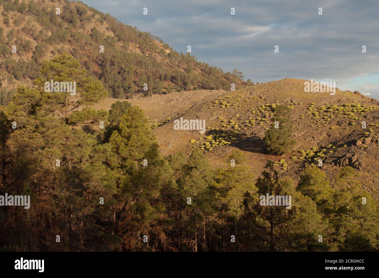The Nublo Rural Park and Integral Natural Reserve of Inagua. Tejeda ...