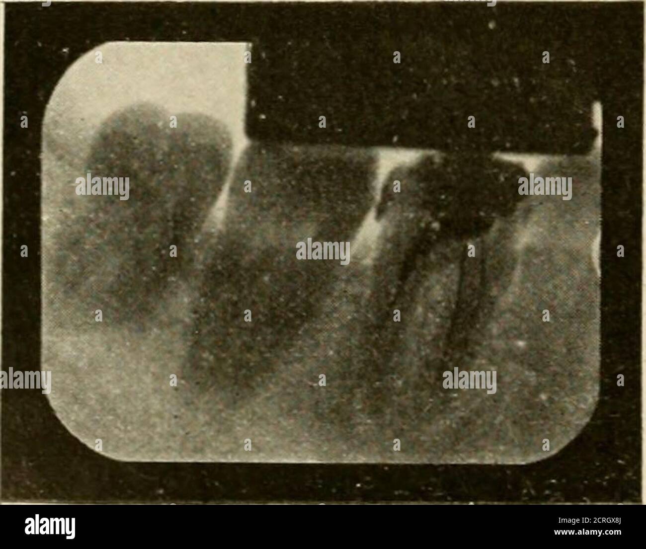 Bookauthorraperhowardriley hi-res stock photography and images - Alamy