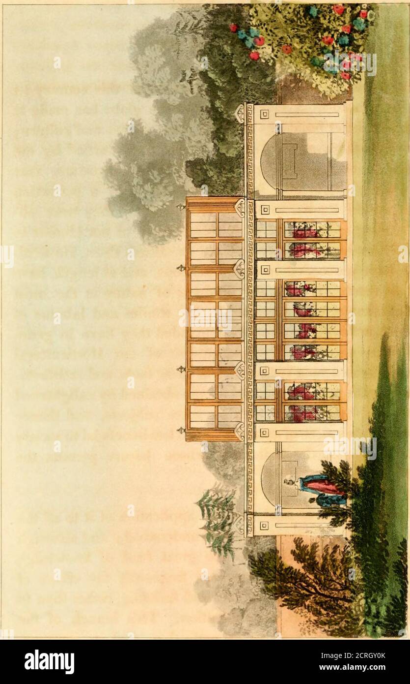 Pigeon gates hi-res stock photography and images - Alamy