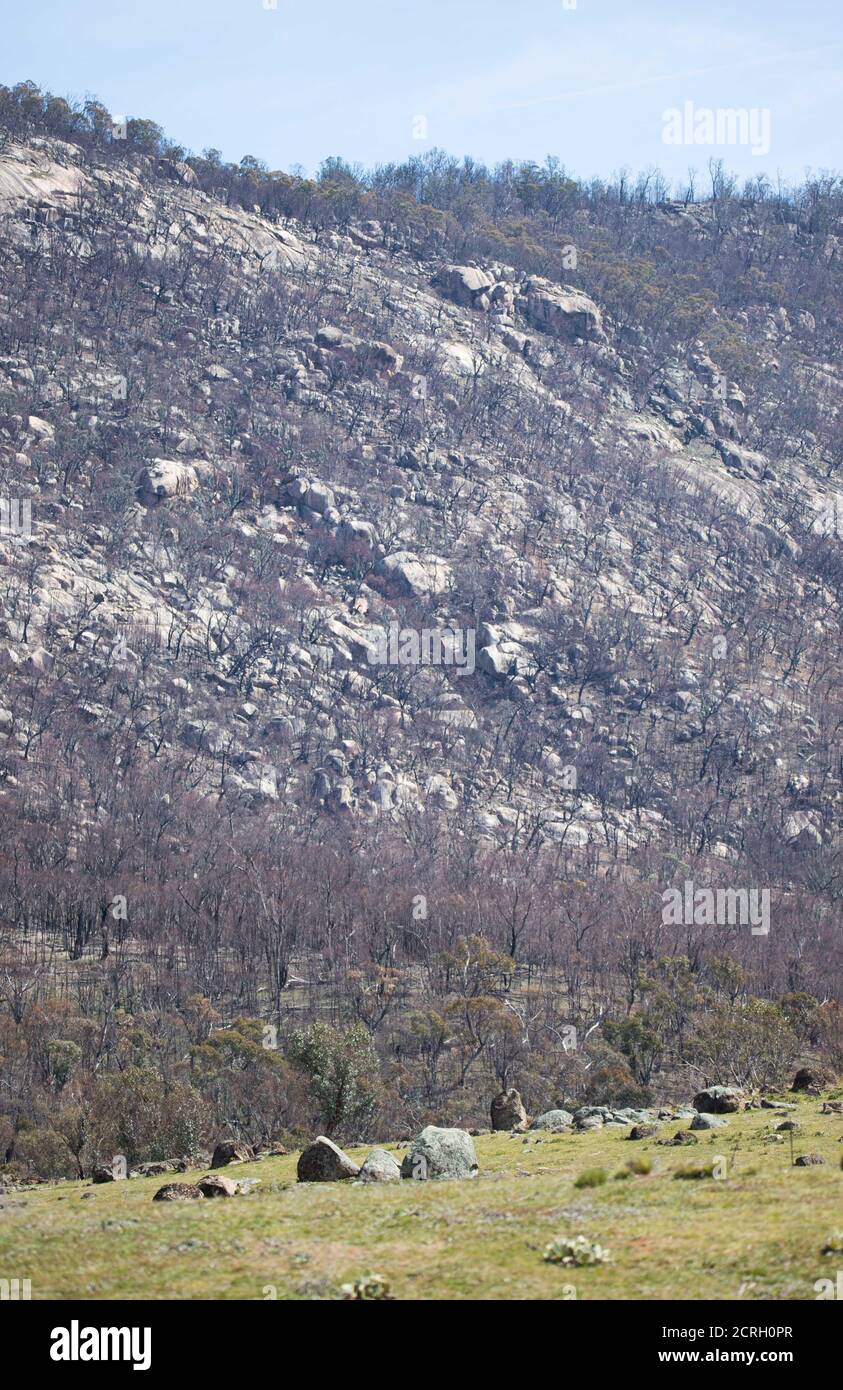 Canberra. 16th Sep, 2020. Photo taken on Sept. 16, 2020 shows that most ...