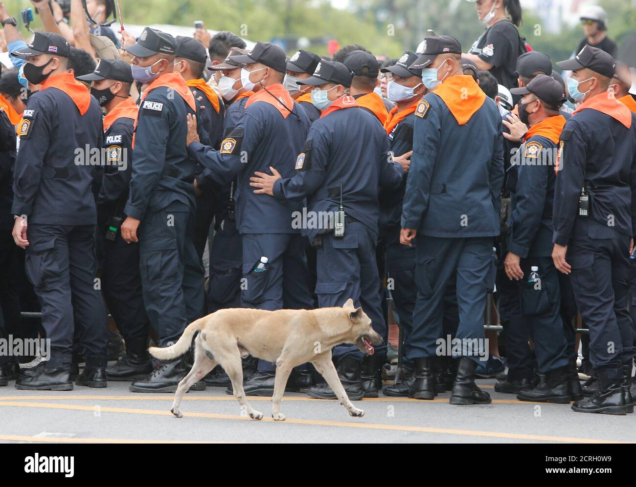 Resignation dog hi-res stock photography and images - Alamy