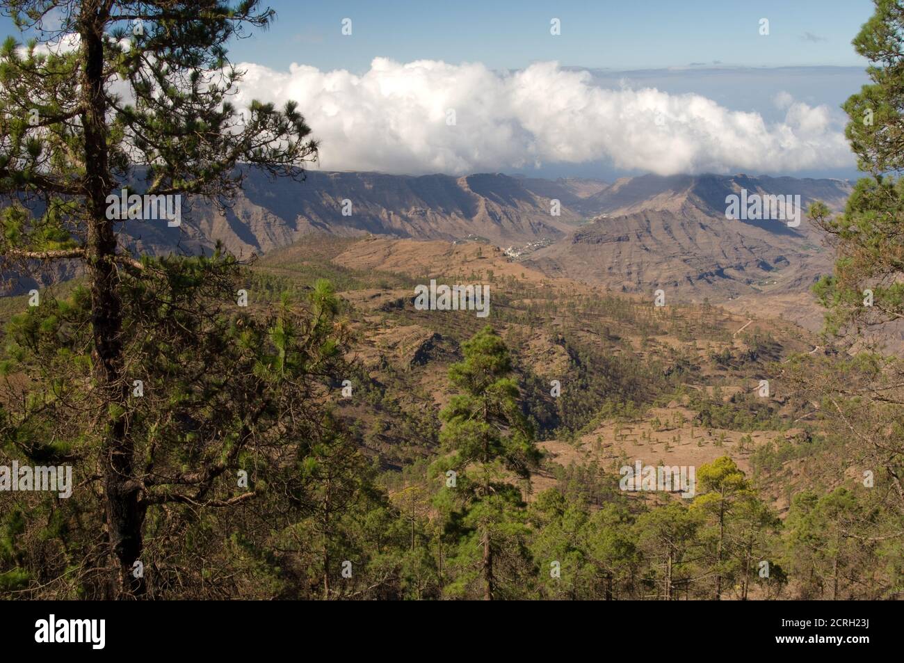 Integral Natural Reserve of Inagua, Mogan ravine and Veneguera ravine ...