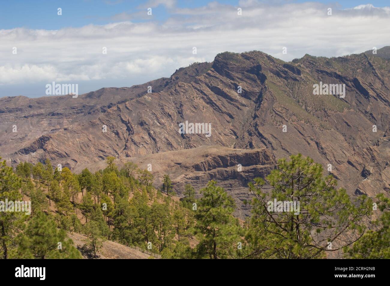 Integral Natural Reserve of Inagua, Mesa del Junquillo and Tamadaba ...
