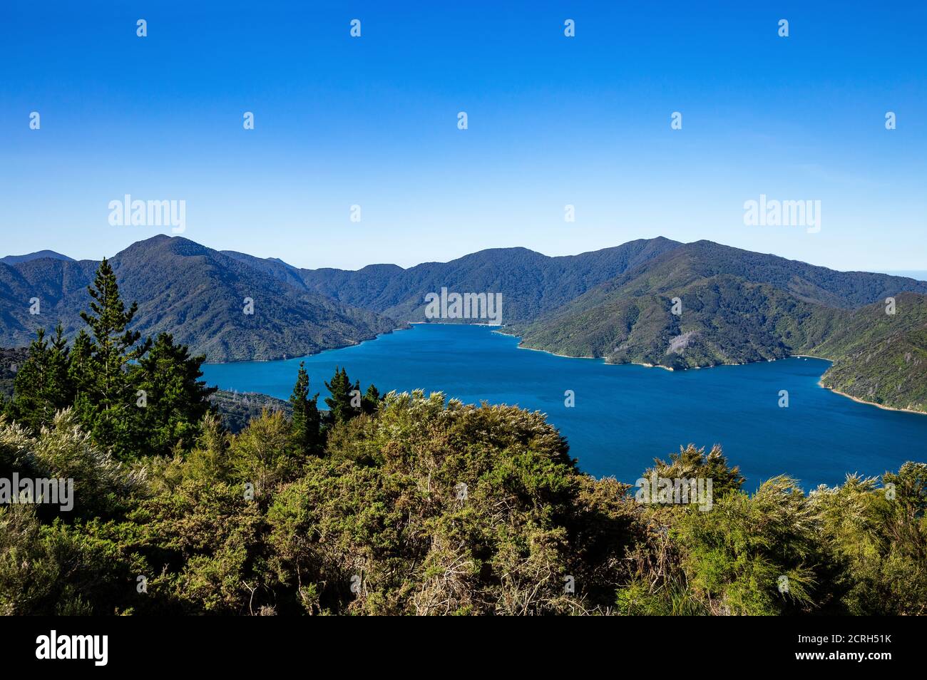 Endeavour Inlet, Tawa Bay, Malborough Sounds, South Island, New Zealand ...