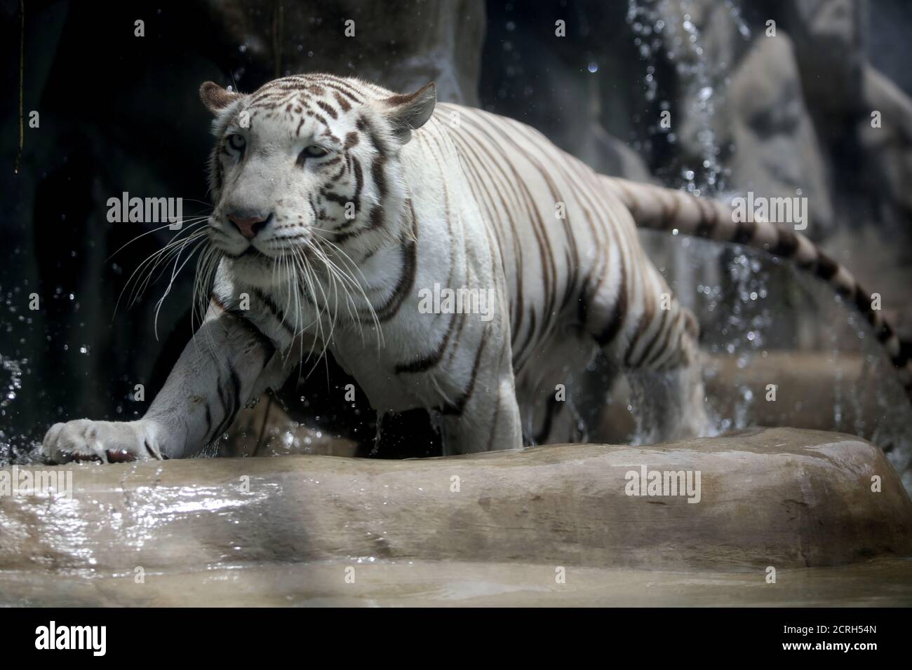 La Garra High Resolution Stock Photography and Images - Alamy