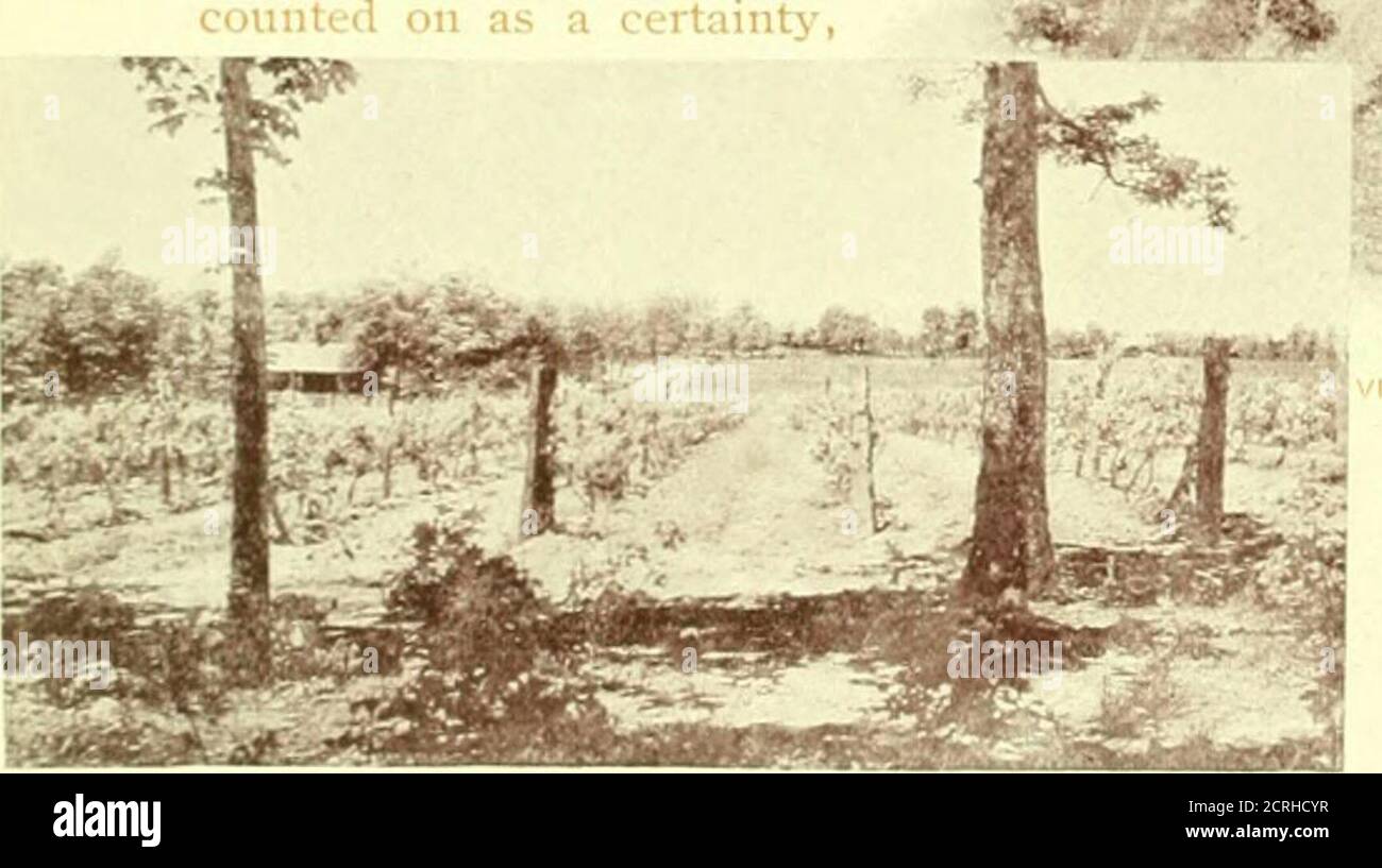 Hy rail hi-res stock photography and images - Alamy