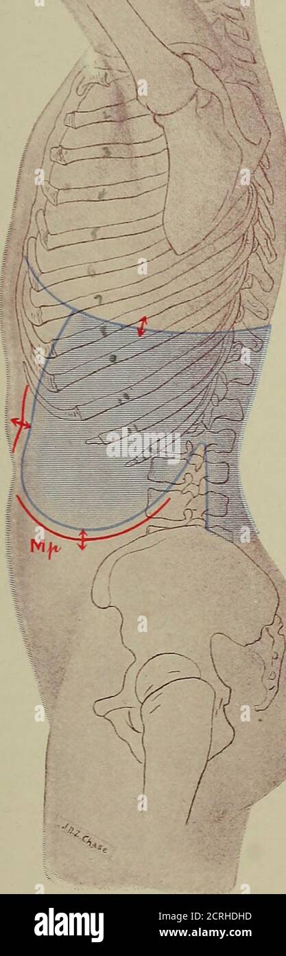 . A practical treatise on medical diagnosis for students and physicians ...