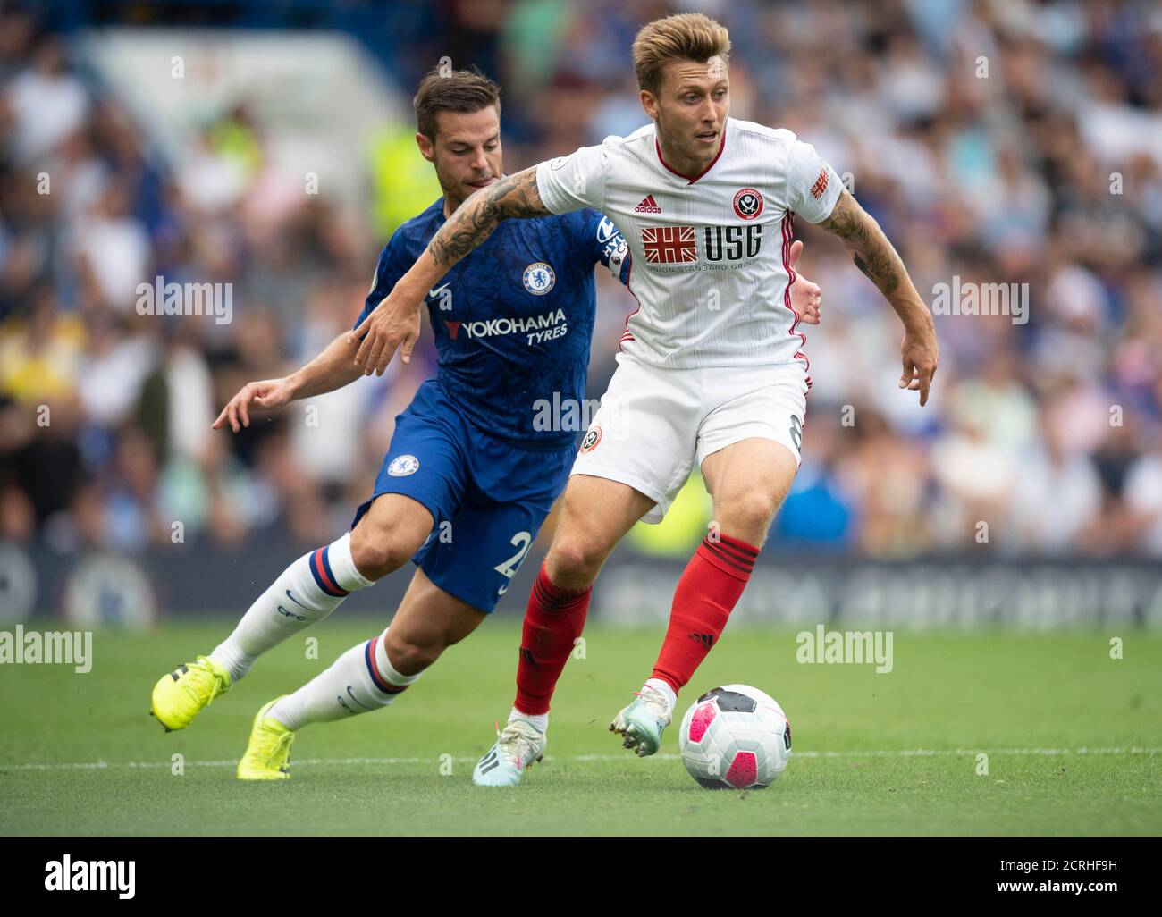Luke freeman sheffield united hi-res stock photography and images - Alamy