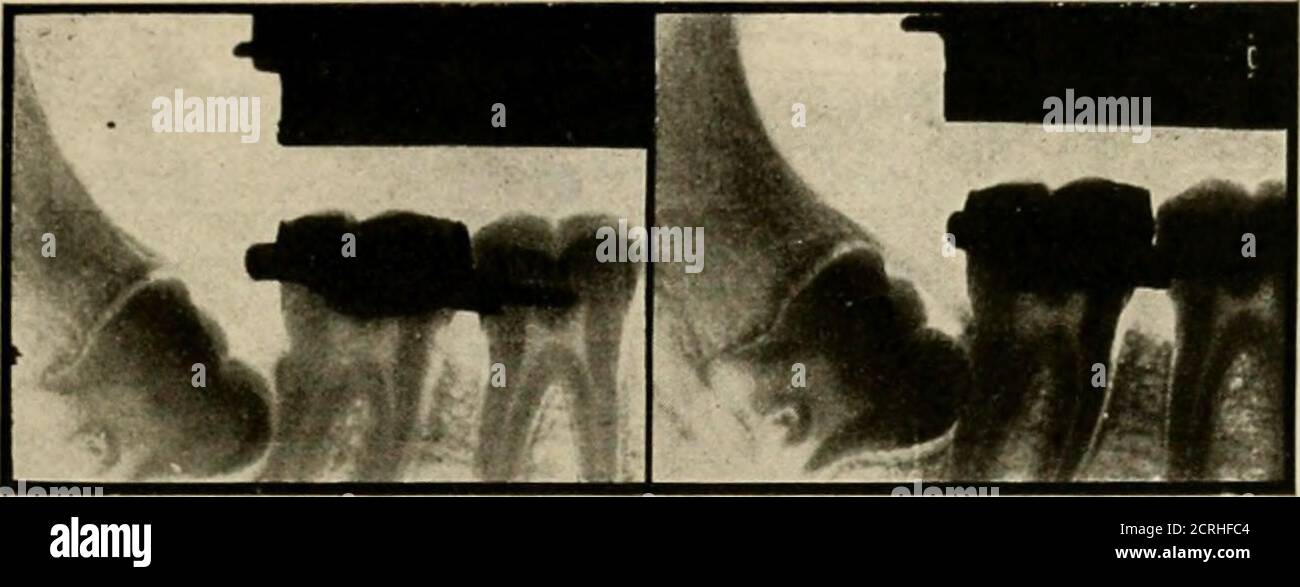 Riley outline hi-res stock photography and images - Alamy