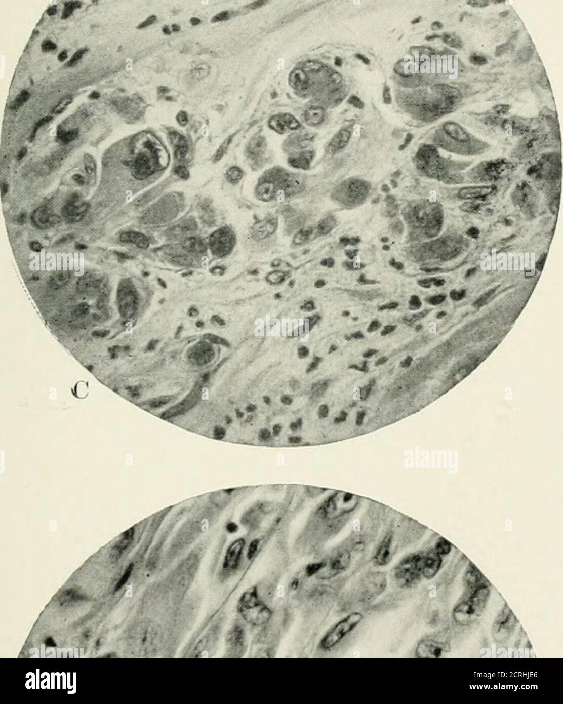 . Radiography, X-ray therapeutics and radium therapy