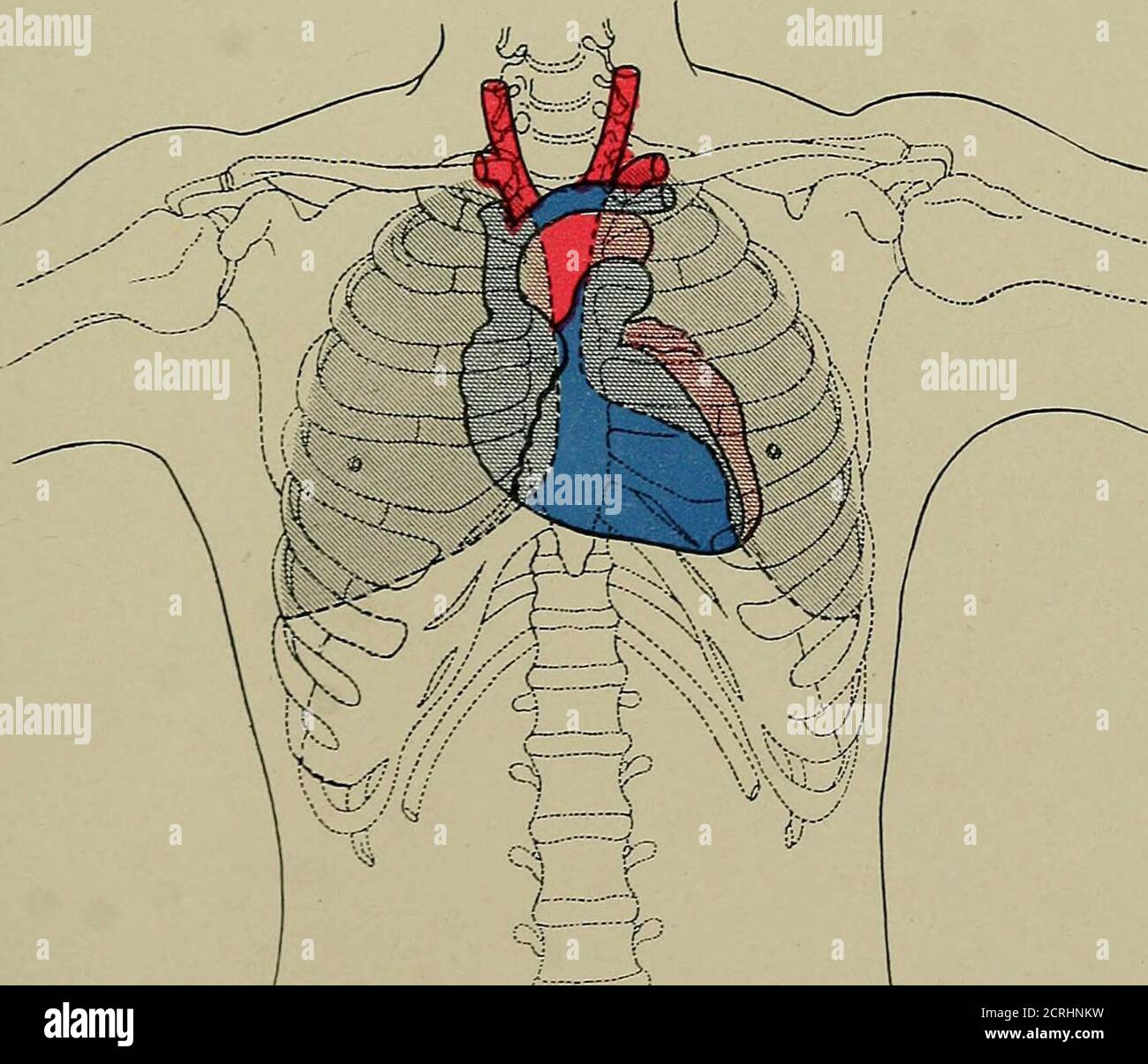 . A practical treatise on medical diagnosis for students and physicians ...