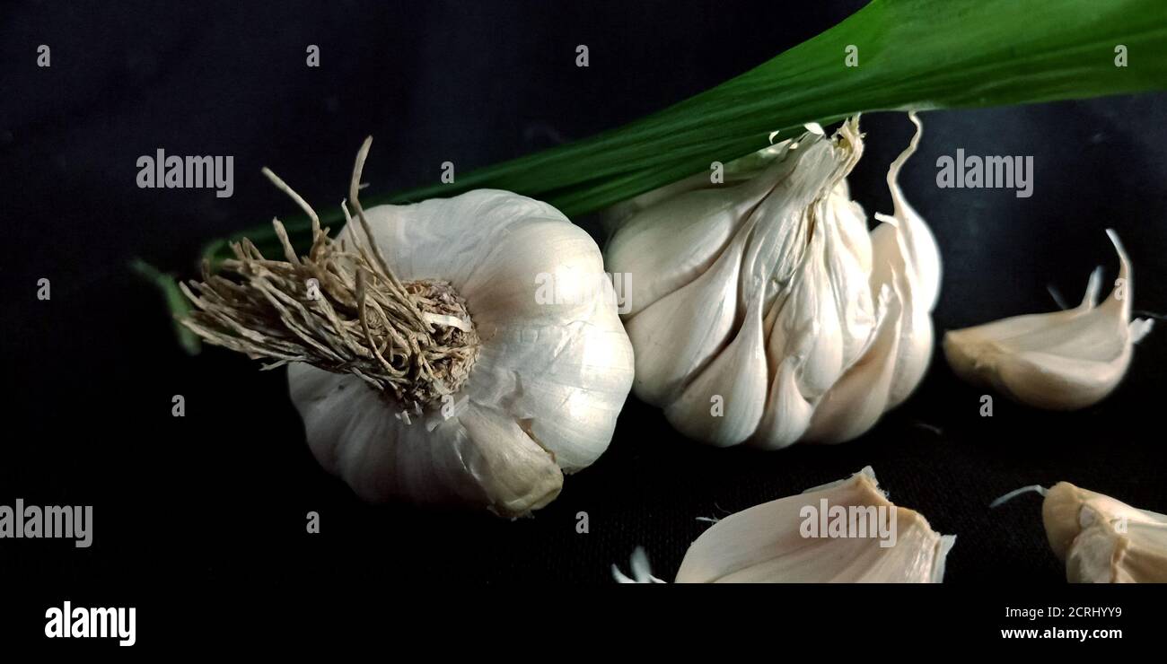 Fresh Group of garlic surface set isolated on black background ...