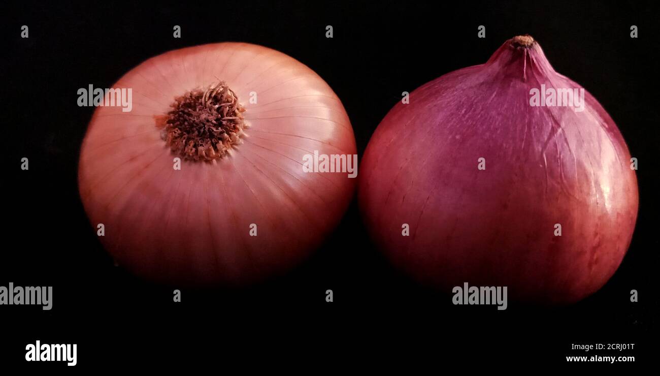 Fresh brown double onion surface set isolated on black background ...
