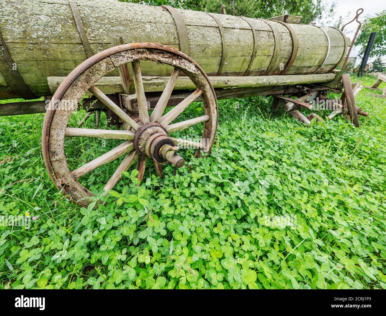 Old rural wooden cart with wooden water barrel. Green grass on the ...