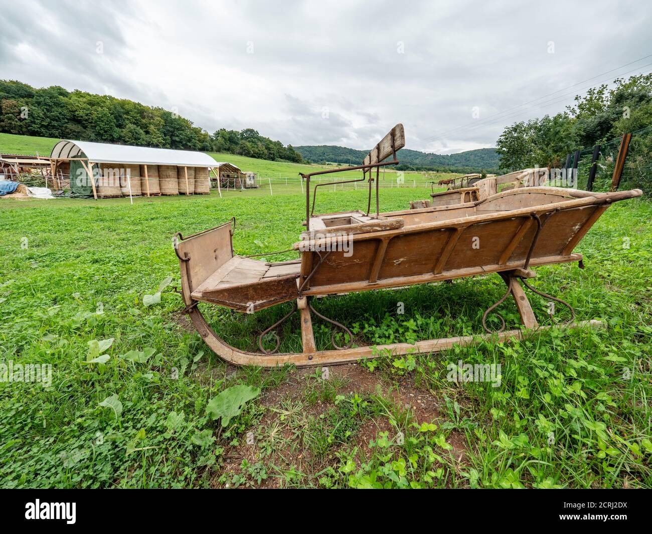 Old wooden sledge for snow wait in grass of meadow. Horse farm wait for ...